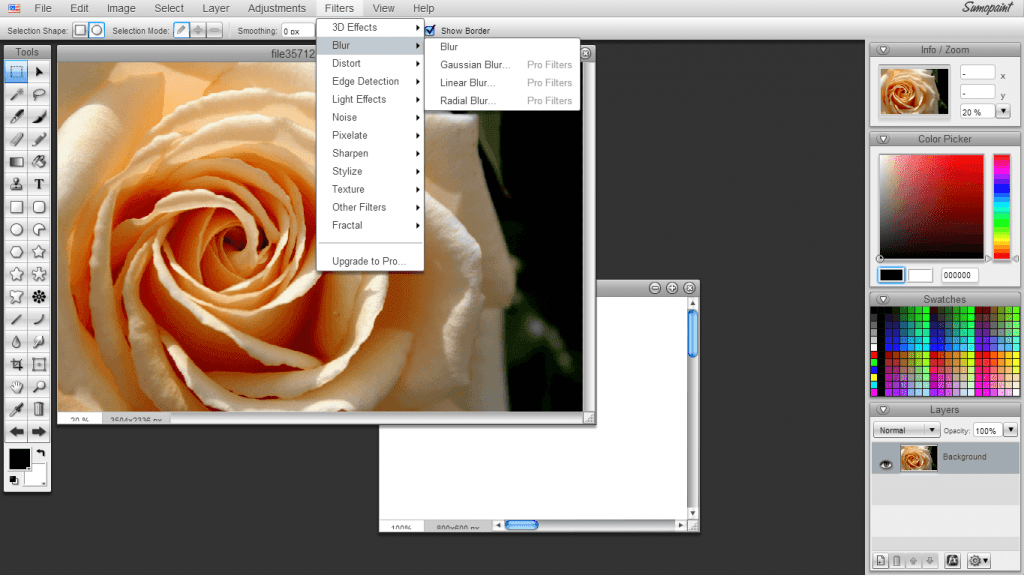 10 Aplikasi Cetak Foto Berbagai Ukuran dalam Satu Lembar